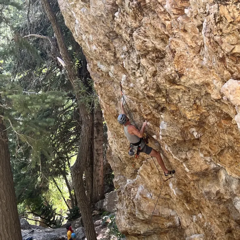 Sport Climbing Camp (3-Day) | Utah Mountain Adventures
